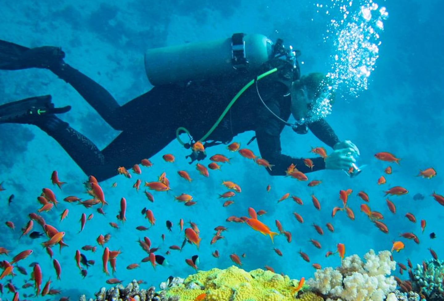 Scuba Diving – Cala Vacation Homes – Santa Teresa, Costa Rica